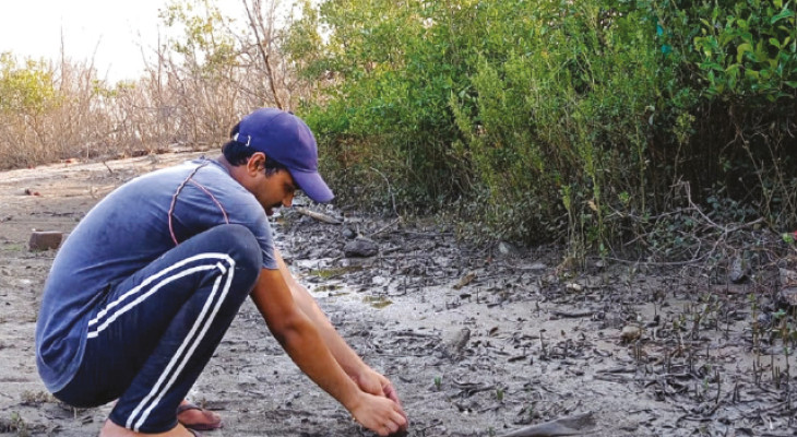 Researchers from Tamralipta College discover new species of 'Gechho ...