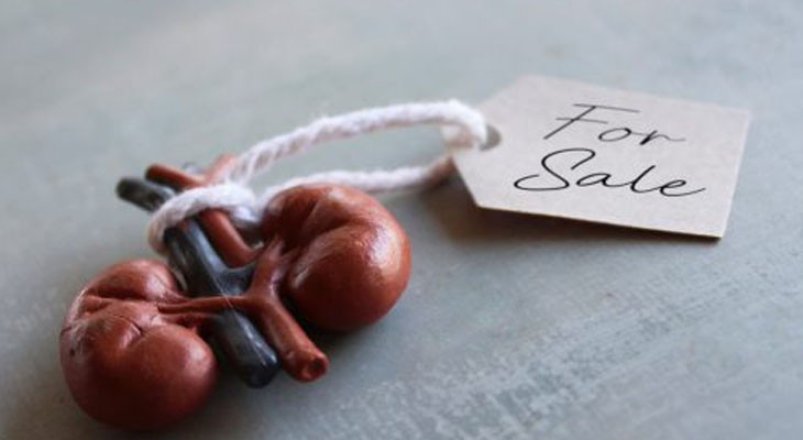 Kidney trafficking ring: Names of multiple heavyweights found on arrested lawyer's phone