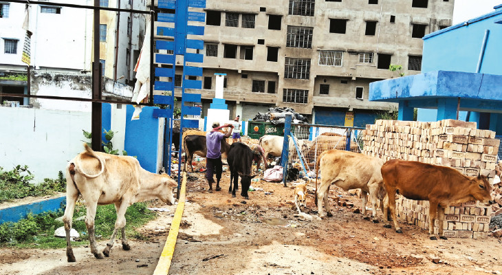 Unclaimed bodies pile up at the sub-district hospital,