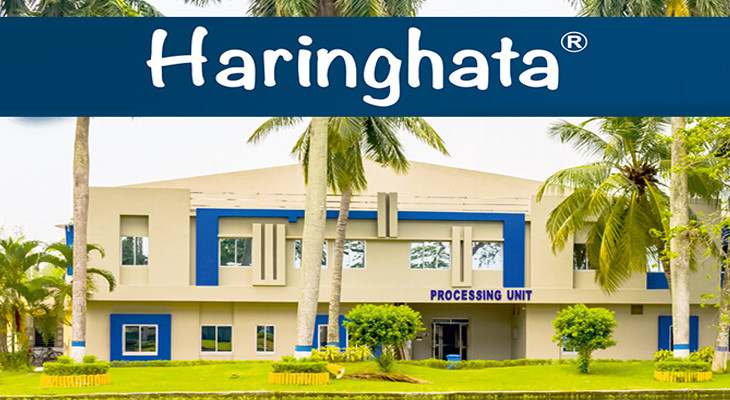 'Haringhata Fish' now available to Bengalis