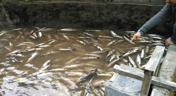 Digha's international standard fish auction center not completed in 7 ...