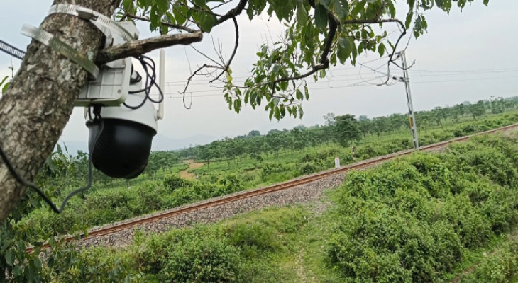 60 CCTV cameras installed in four forests, forest workers will receive ...