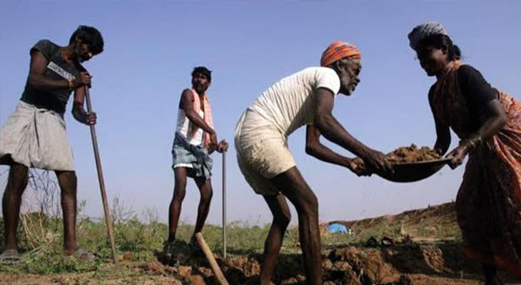 Unsuccessful 100 days of work, Farm Workers' Association to go to High ...
