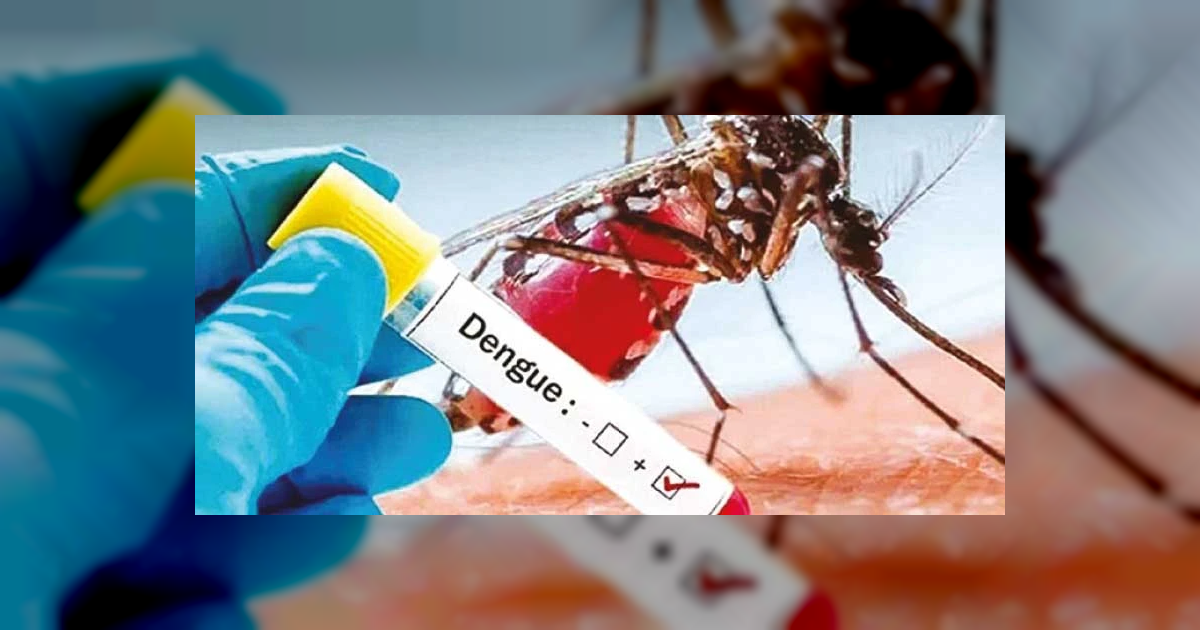 Dengue control campaign begins across the district, 150 infected in 20 ...