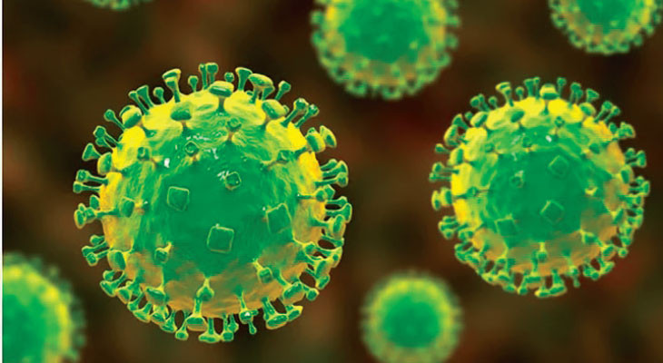 Nipah virus: How to protect yourself from infection?