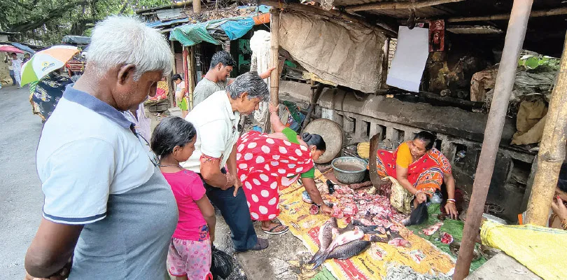 মাছ-ভাত খেয়ে ‘প্রতিবাদের ভোট’ ভোজনরসিক বাঙালির, লাইন মাংসের দোকানেও