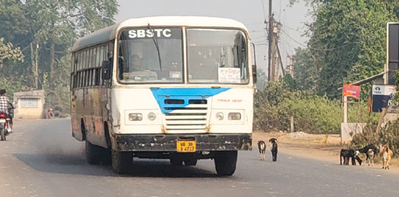 Bus activists' organizations concerned over government bus fare waiver ...