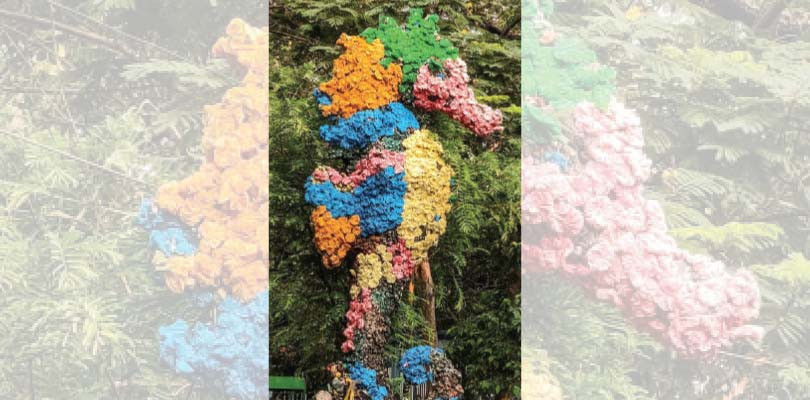 'Sea Horse' in Rabindra Sarovar with message to prevent pollution!