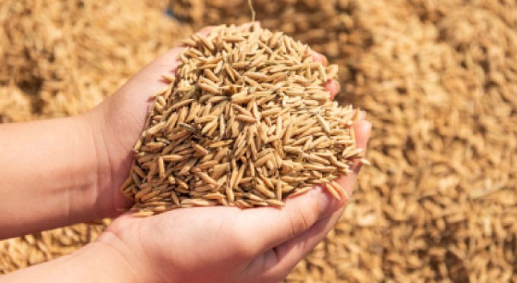 Food Department to open four more permanent purchasing centers to speed ...